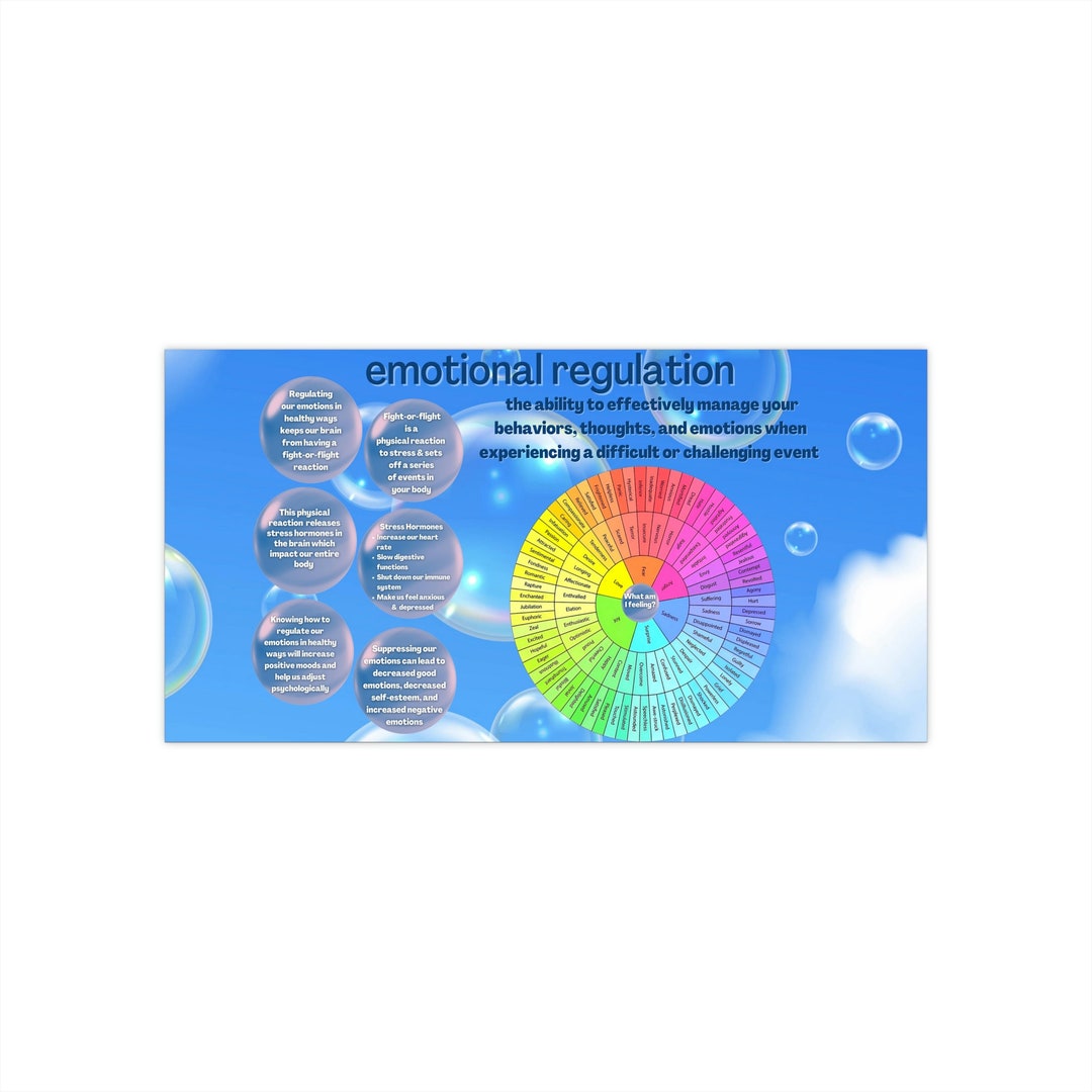 Sticker Emotion Feelings Wheel and Emotions Regulation Information ...