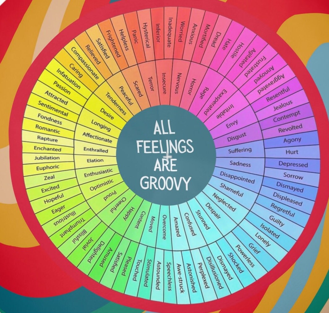 Round Pillow Emotion Feelings Wheel All Feelings Are Groovy - Etsy