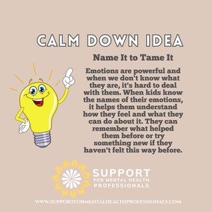 Sticker Emotion Feelings Wheel and Emotions Regulation Information ...