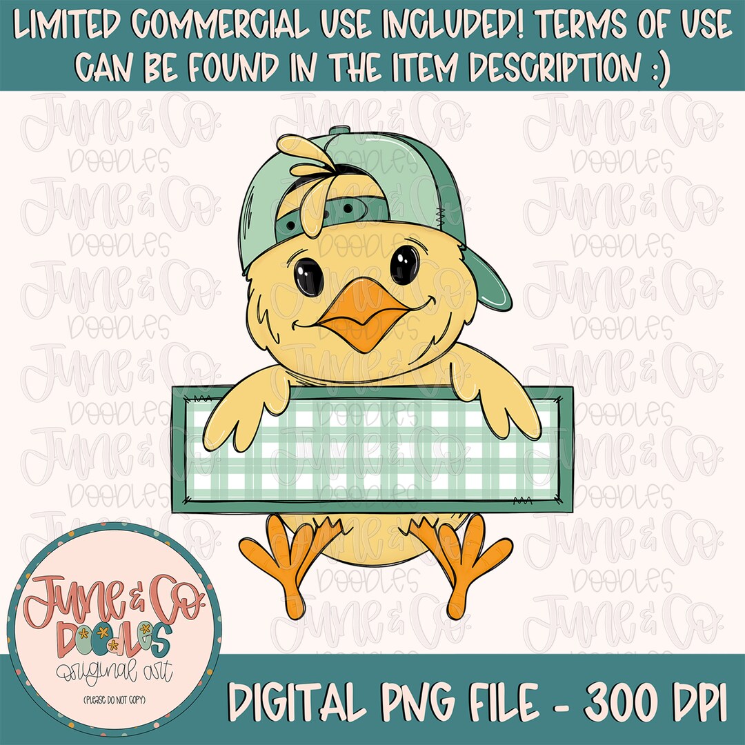 Boy Chick With Name Plate PNG| Cool Easter Chick in Hat Sublimation ...
