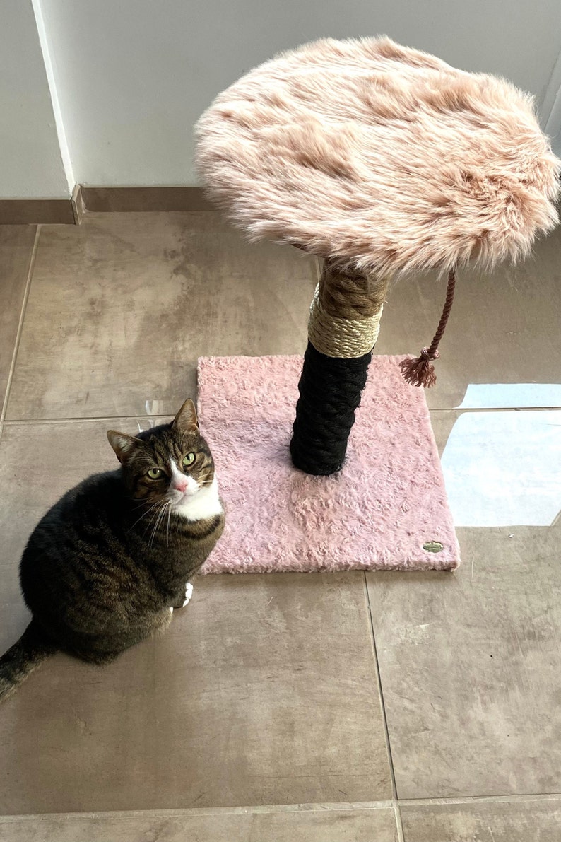 Unique Scratching Post HANMADE | Crab Furniture - Etsy