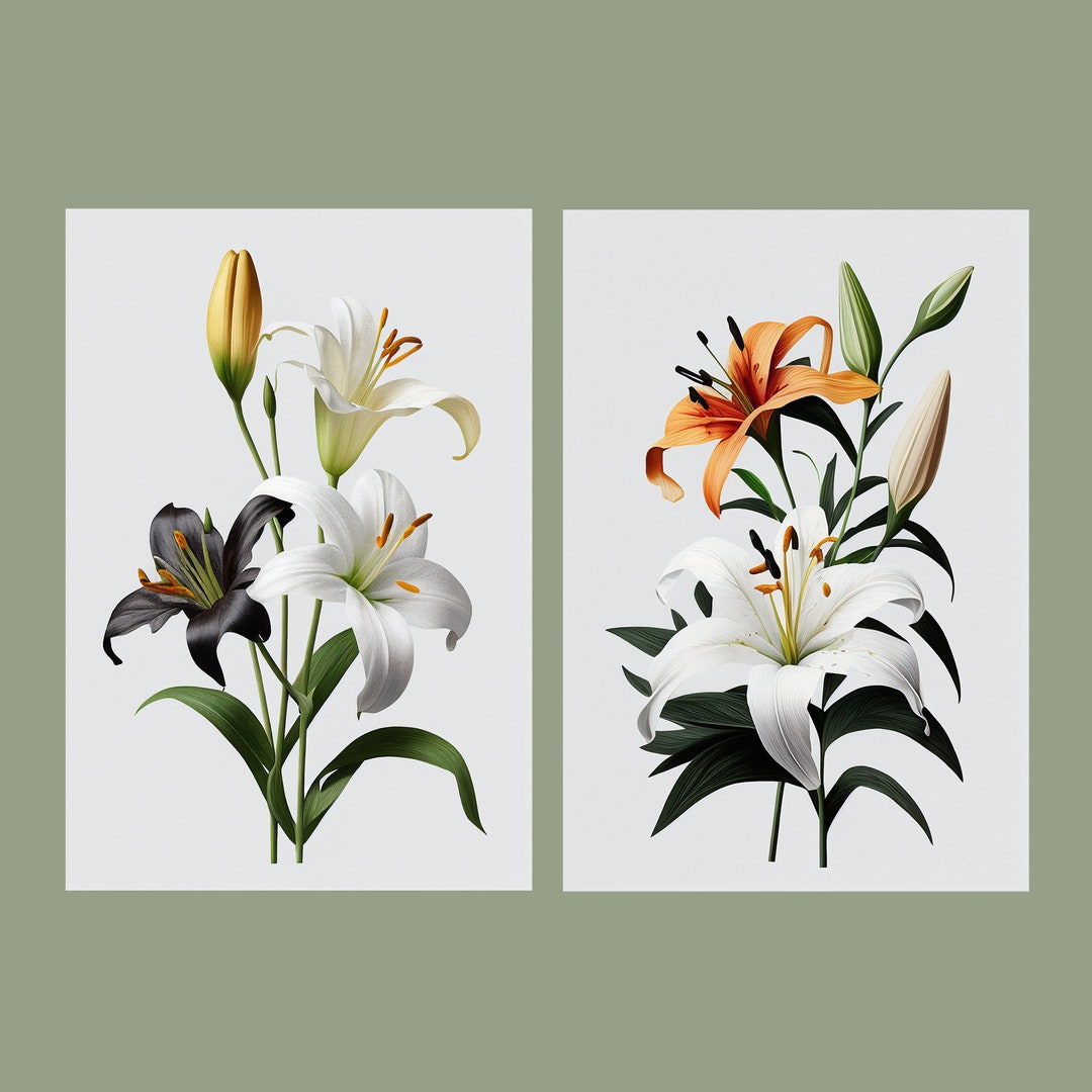 Lilies Poster Set of 2, Modern Flower Wall Decor Art, Boho Floral ...