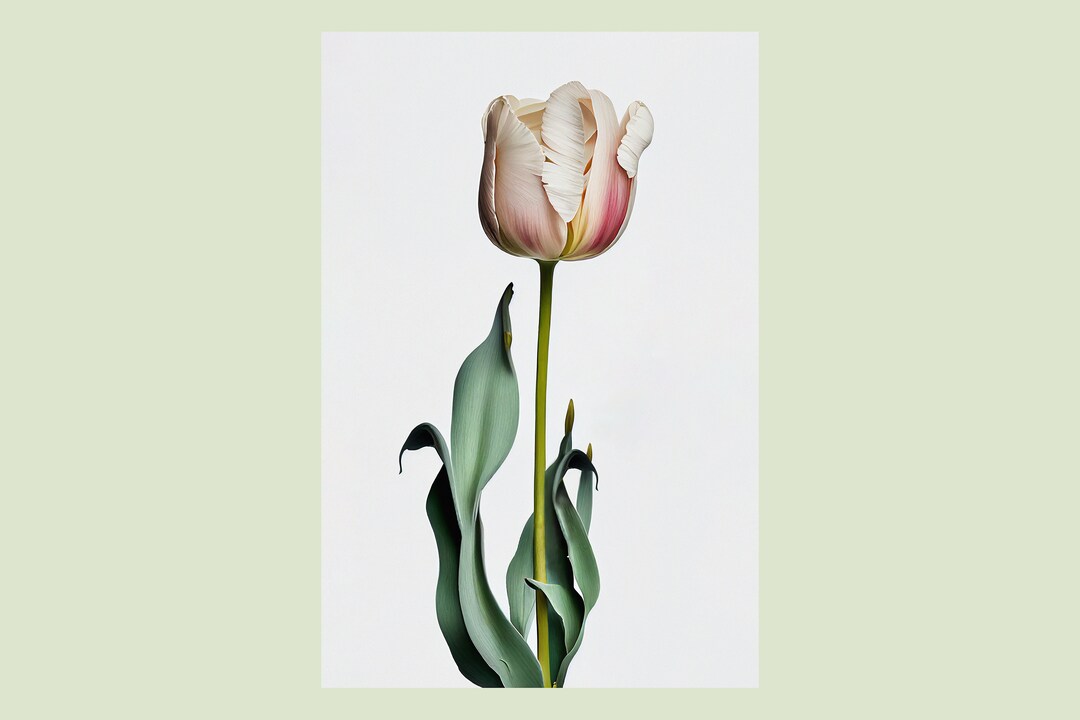 Tulip Flower Poster, Wall Decoration, Decor, Printable, Floral Wild ...