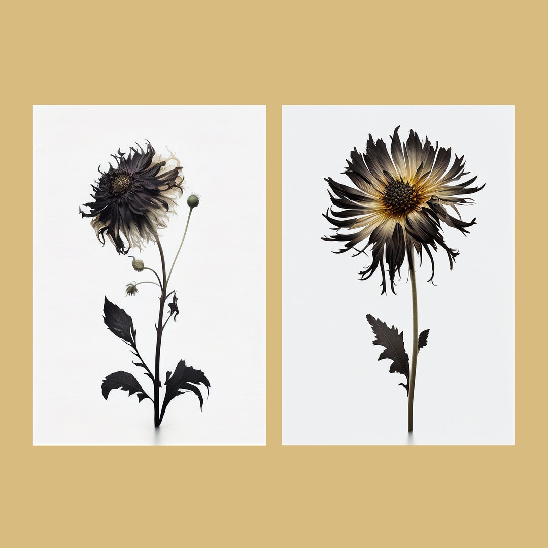 Dahlia Flower Poster Set of 2, Wall Decoration, Printable, Interior ...