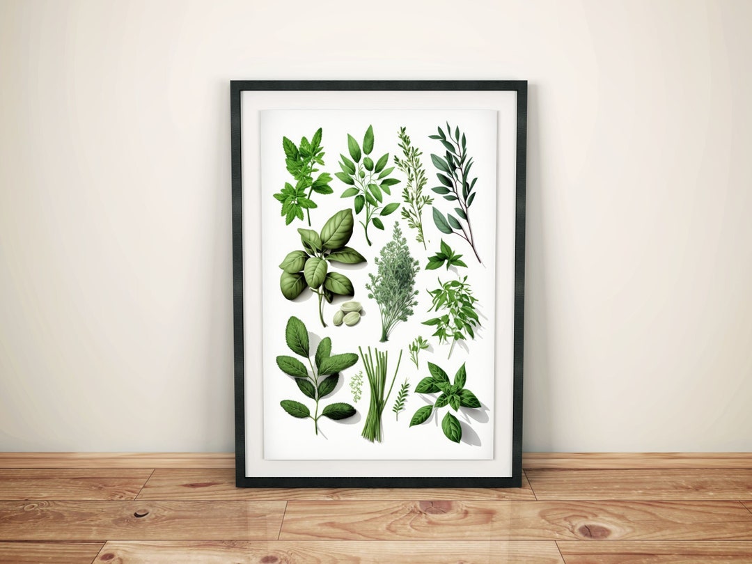 Herbs Poster for the Kitchen, Kitchen Poster, Kitchen Wall Decor ...