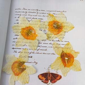 petalumstore - Etsy