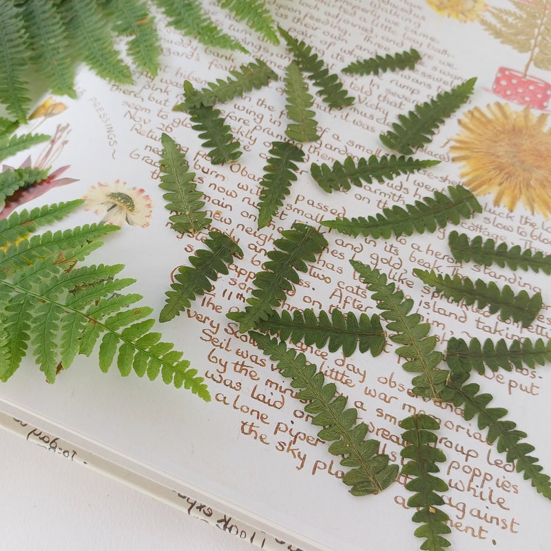 Pressed Leaf Art - Etsy