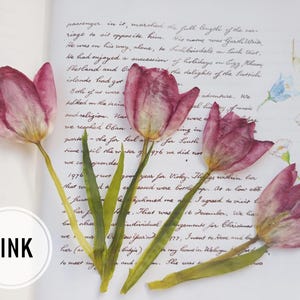 Pressed Tulips: Real Dried Flowers for Resin Crafts - Etsy
