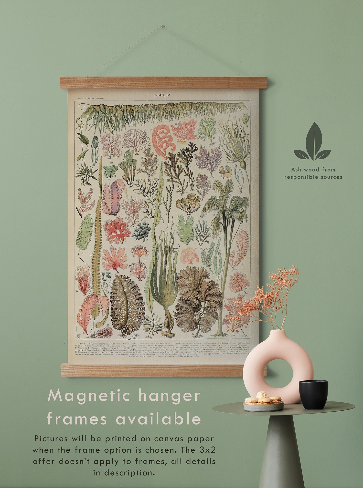 Vintage Algae Poster Seaweed Print Botanical Decor Adolphe - Etsy