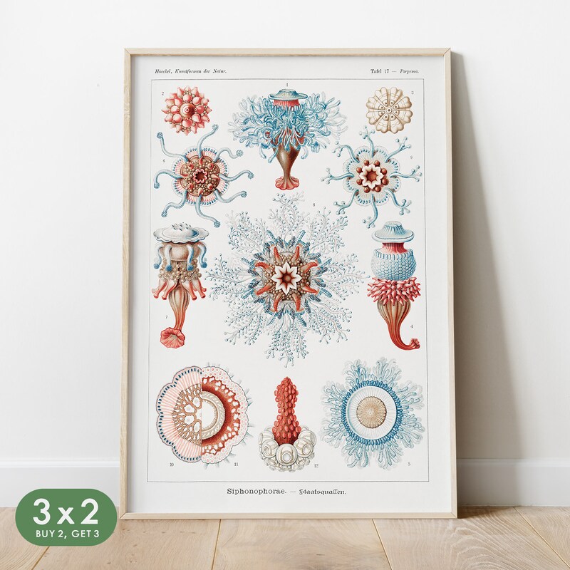 Biology Wall Art - Etsy
