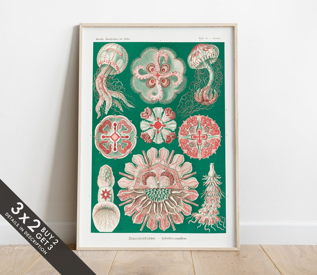 Ernst Haeckel Art Marine Life Poster Forms in Nature - Etsy