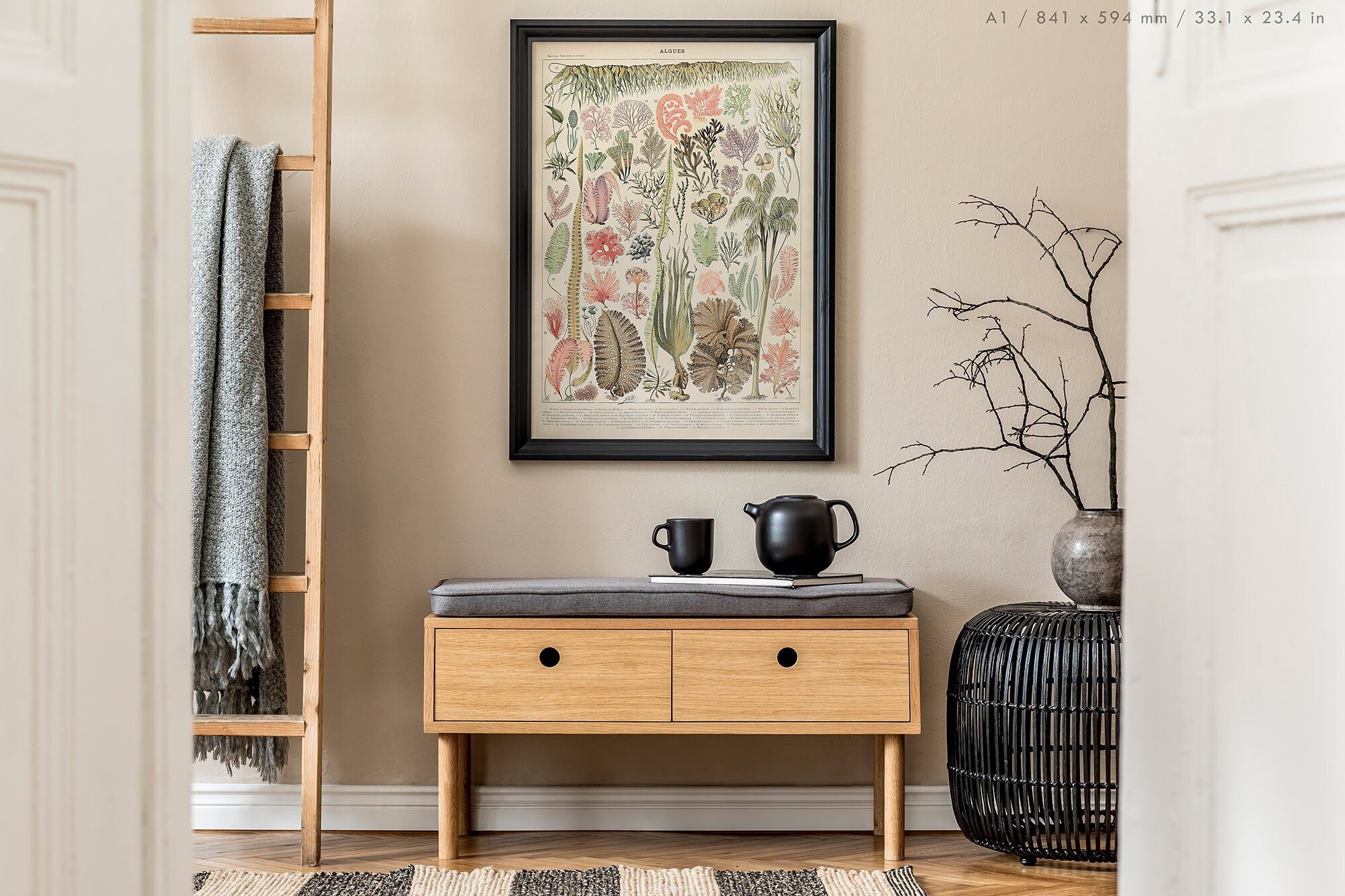 Vintage Algae Poster Seaweed Print Botanical Decor Adolphe - Etsy