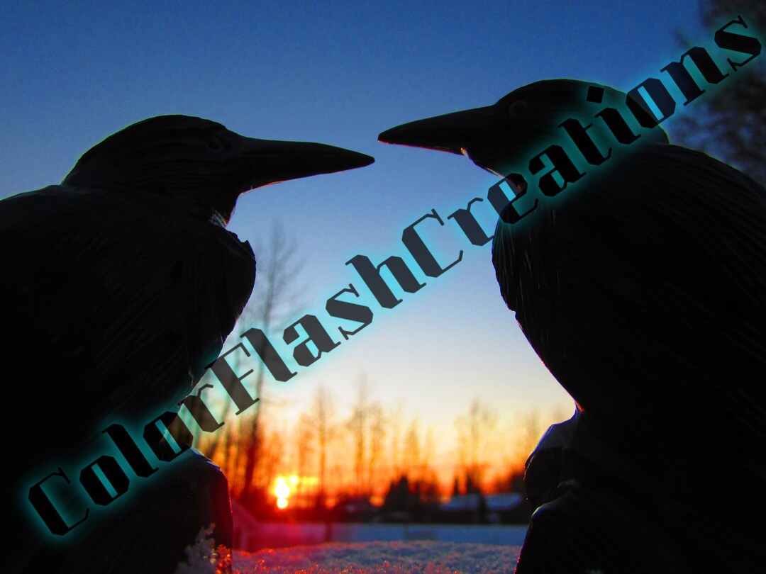 Raven Statues - Etsy