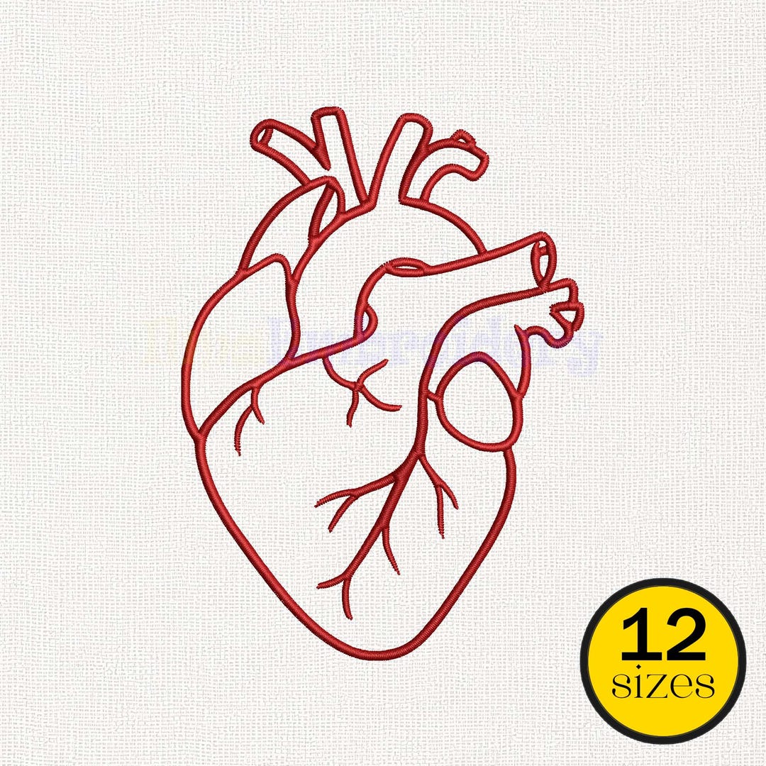 Anatomical Heart Embroidery Design, Medical Valentine Stitch Pattern ...