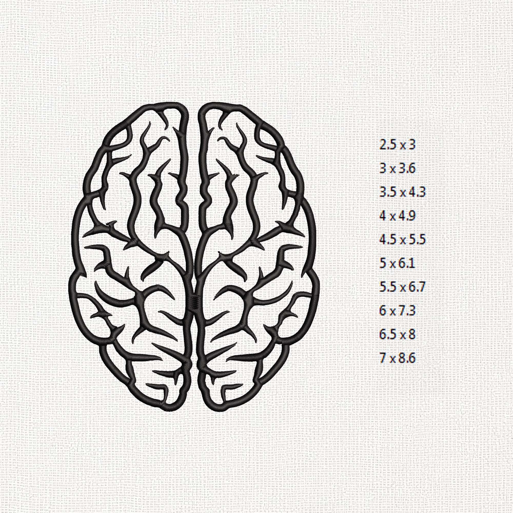 Brain Outline Embroidery Design, Anatomy Line Art Machine Embroidery ...