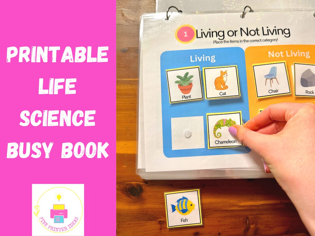 Life Sciences Busy Book Printable Preschool Kindergarten - Etsy
