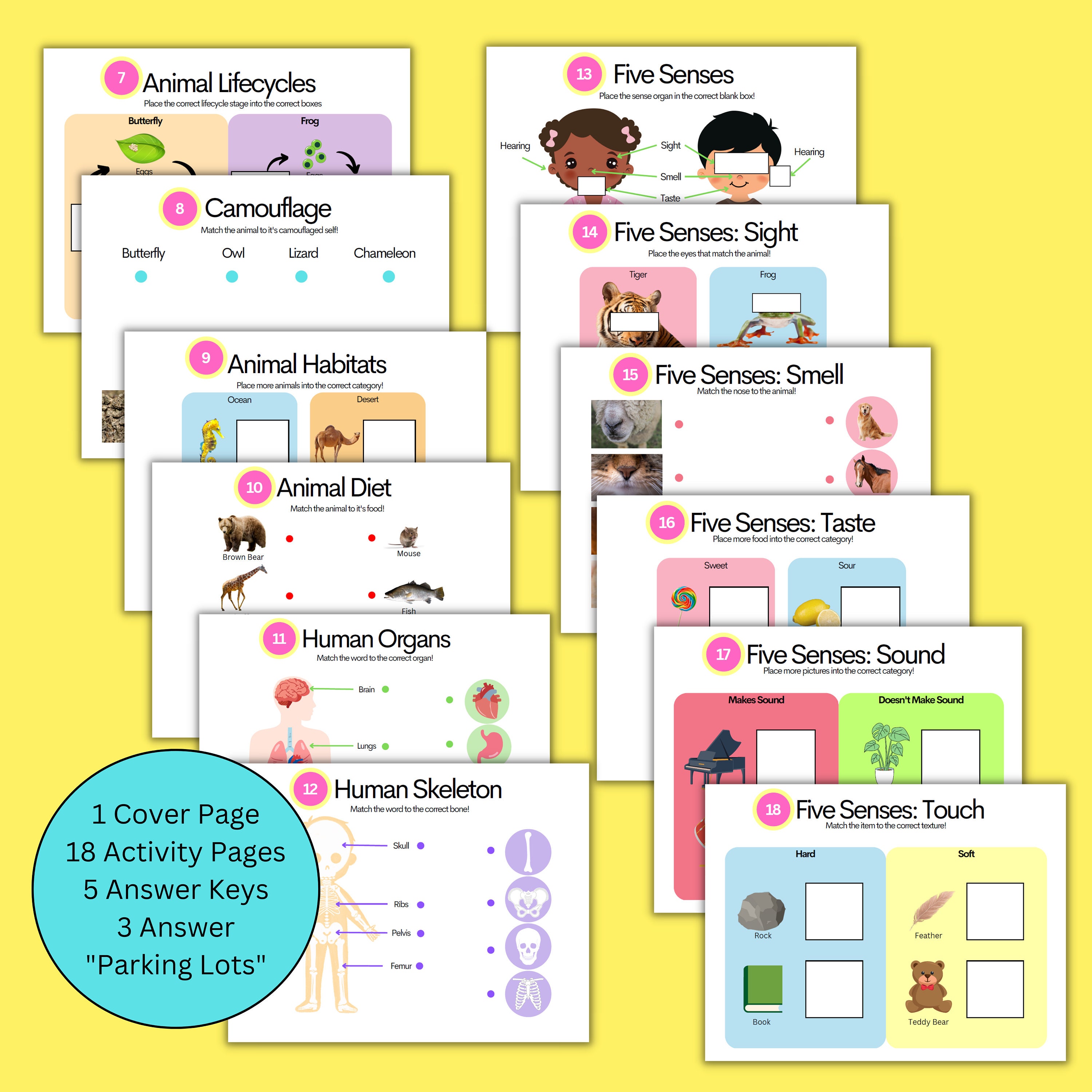 Life Sciences Busy Book Printable Preschool Kindergarten Homeschool ...