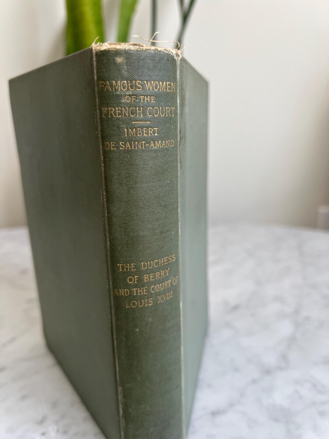 Antique 1898 Duchess of Berry Book: French Court History, Illustrated ...
