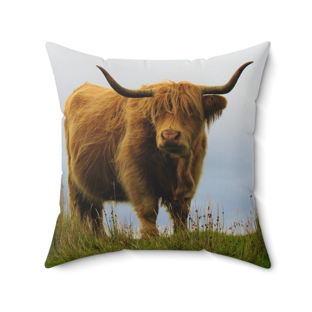 Hairy Highland Cow Pillow/scottish Pillow With Zippered Case/spun ...