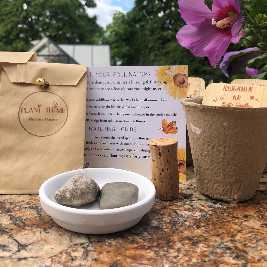 Kids' Pollinator Garden Kit: Ceramic Dish, Seeds, & Painting Rocks ...