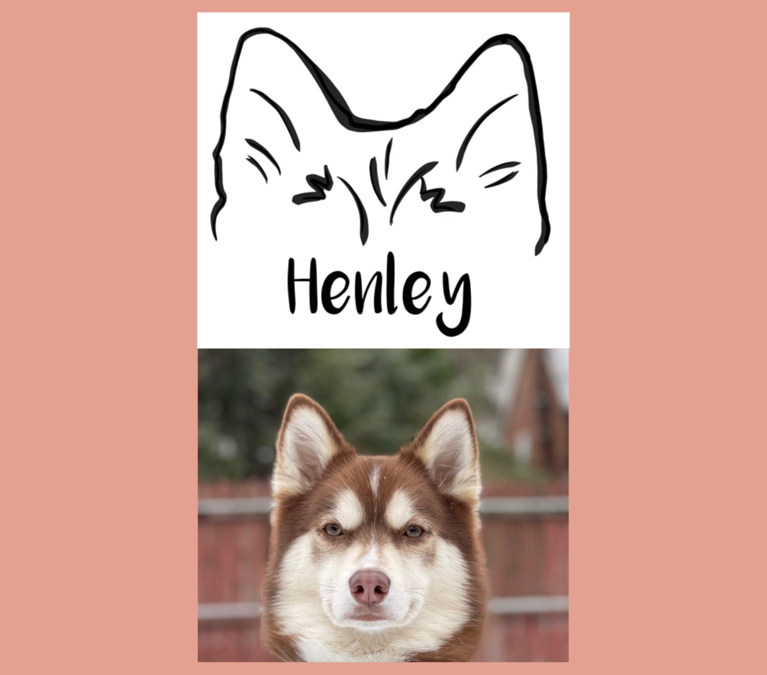PERSONALIZED Dog Ear Car Decal, Dog Car Window Sticker, Personalized ...