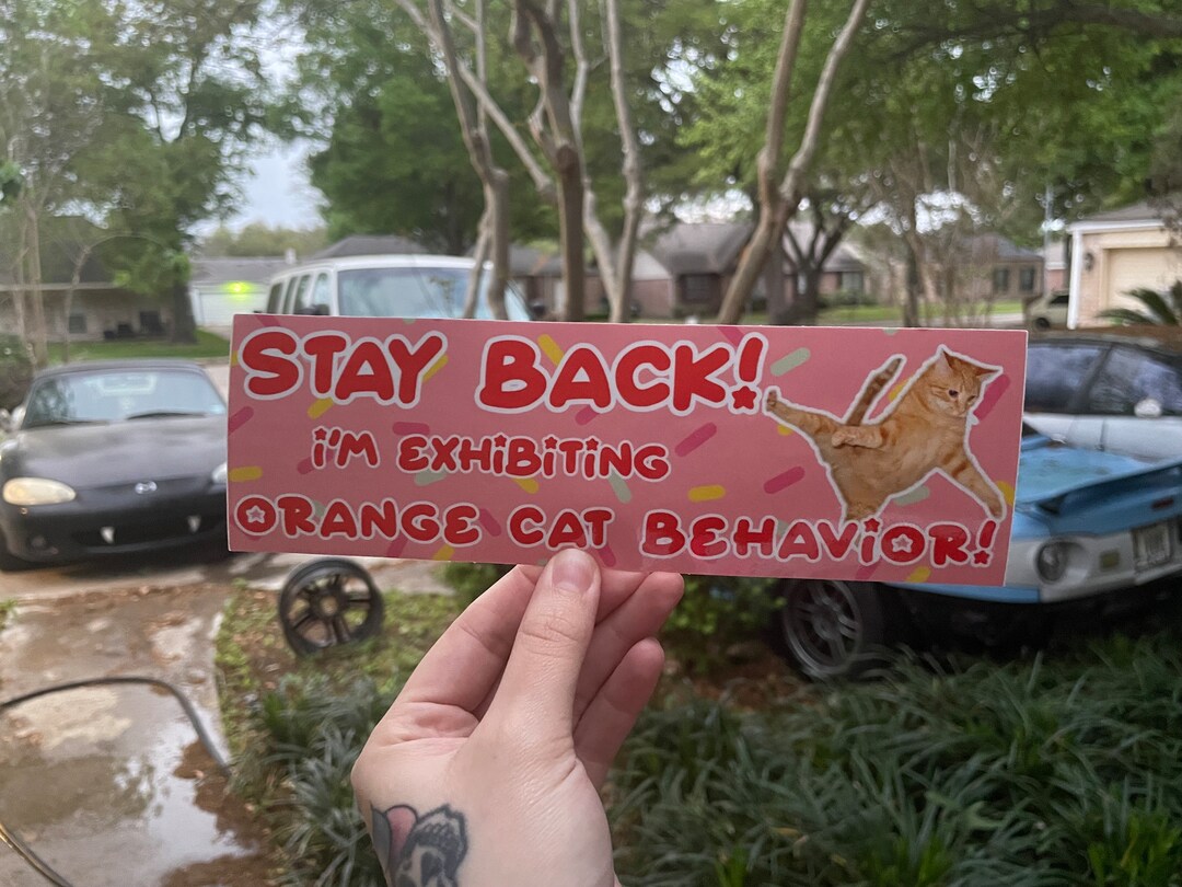 Orange Cat Behavior Vinyl Sticker Cars, Laptops, Water Bottles ...