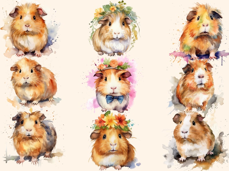 25 Watercolor Guinea Pigs Clipart PNG, Guinea Pigs Png, Flower Guinea ...