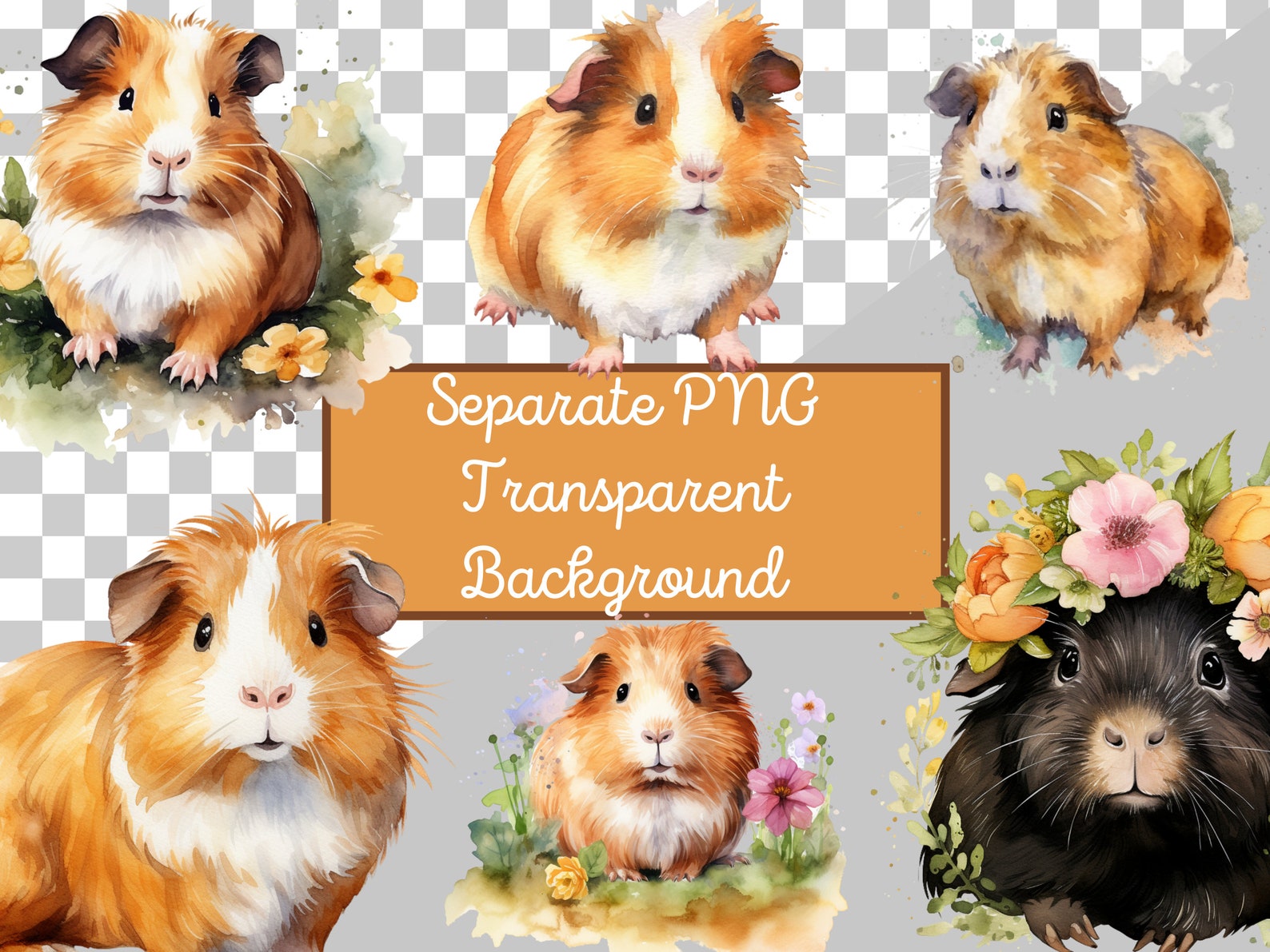25 Watercolor Guinea Pigs Clipart PNG, Guinea Pigs Png, Flower Guinea ...