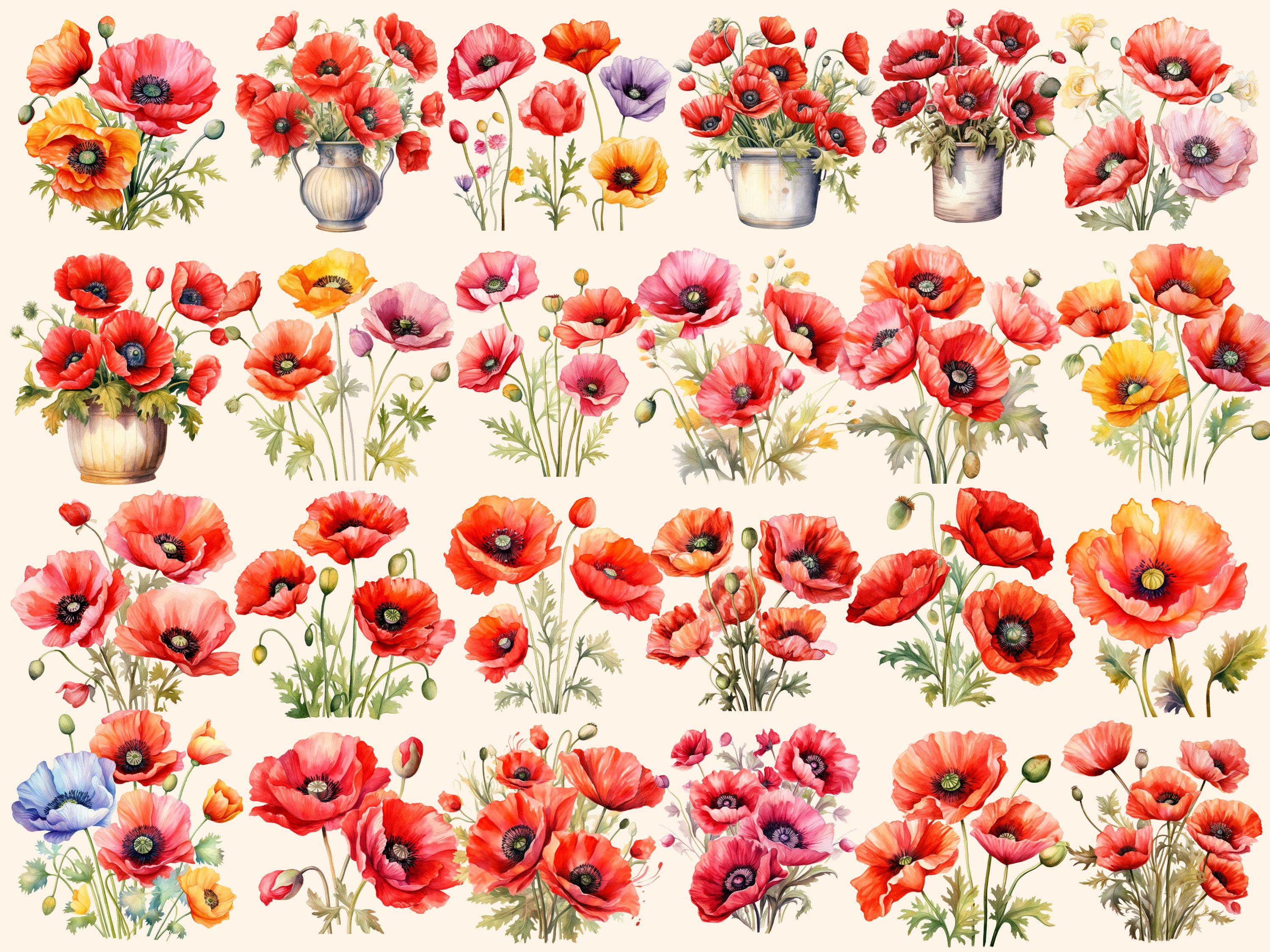 Poppies Watercolor Clipart Bundle - 100 PNG Poppy Flowers Images ...