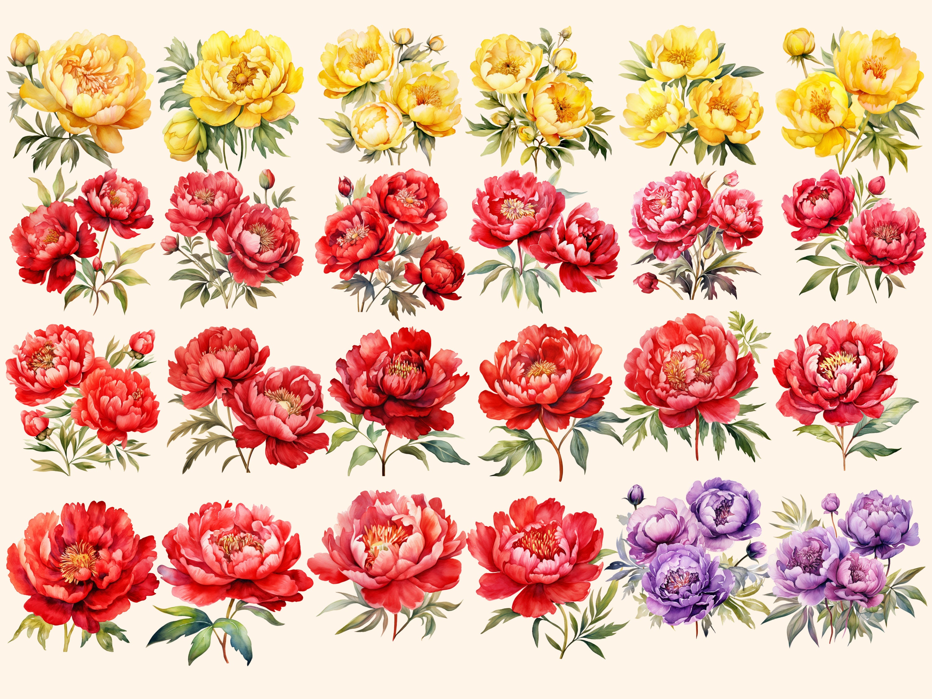 100 Peony Watercolor Clipart, Peonies Clipart, Floral Clipart, Spring ...