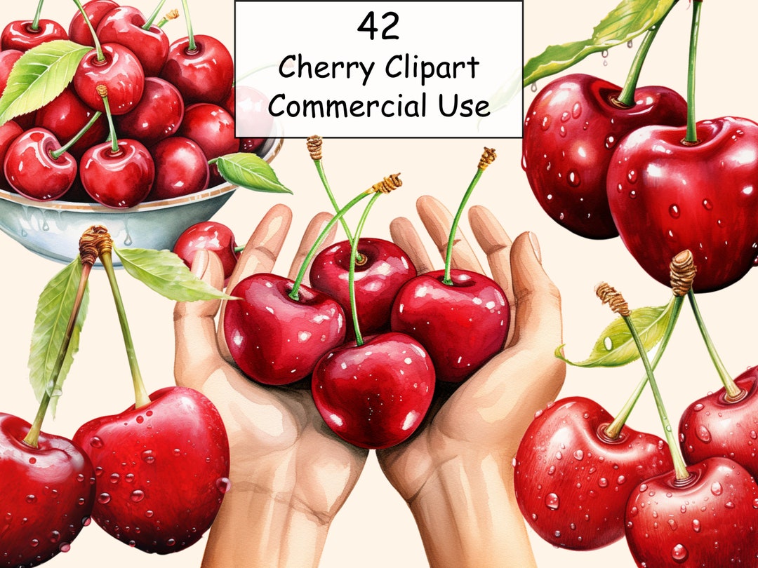 42 Watercolor Cherry Clipart, Digital Png Cherries, Graphics for ...