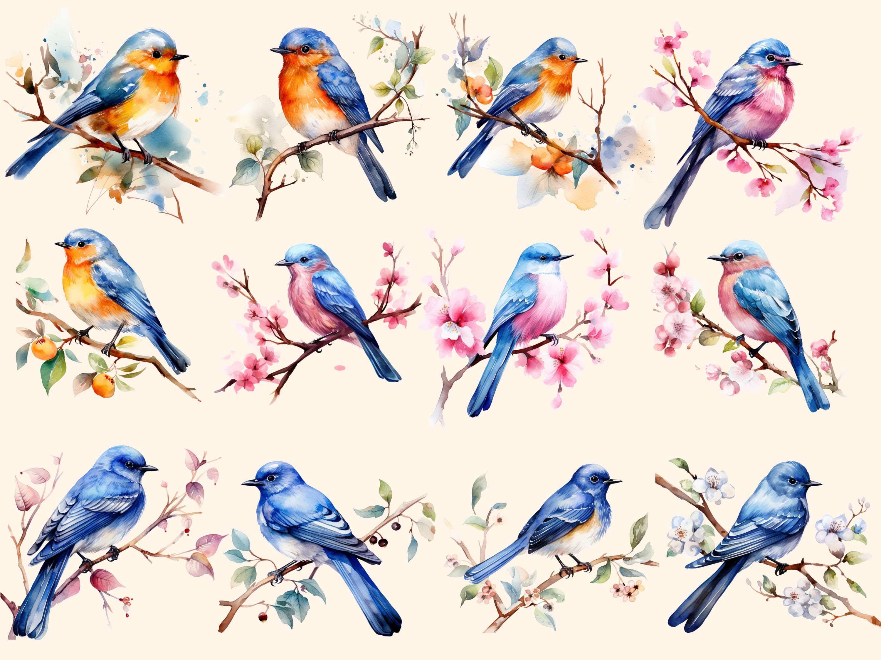 52 Watercolor Bird Clipart Bundle Spring Birds Clipart Birds - Etsy