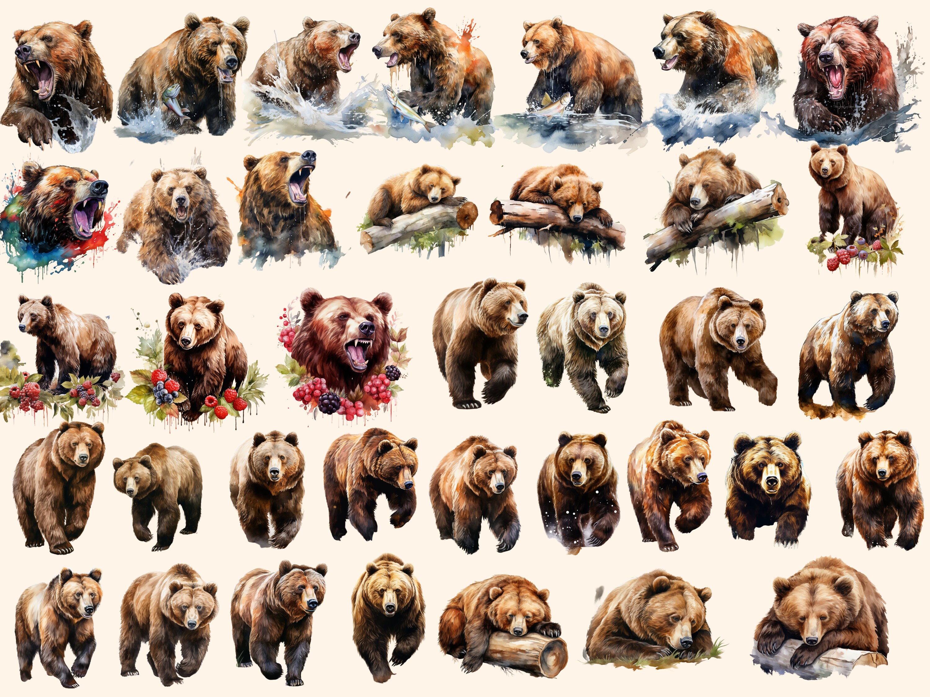 Brown Bears Watercolor Clipart Bundle 134 PNG Grizzly Images - Etsy