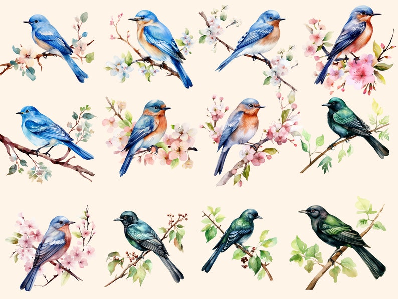 52 Watercolor Bird Clipart Bundle, Spring Birds Clipart, Birds Bundle ...
