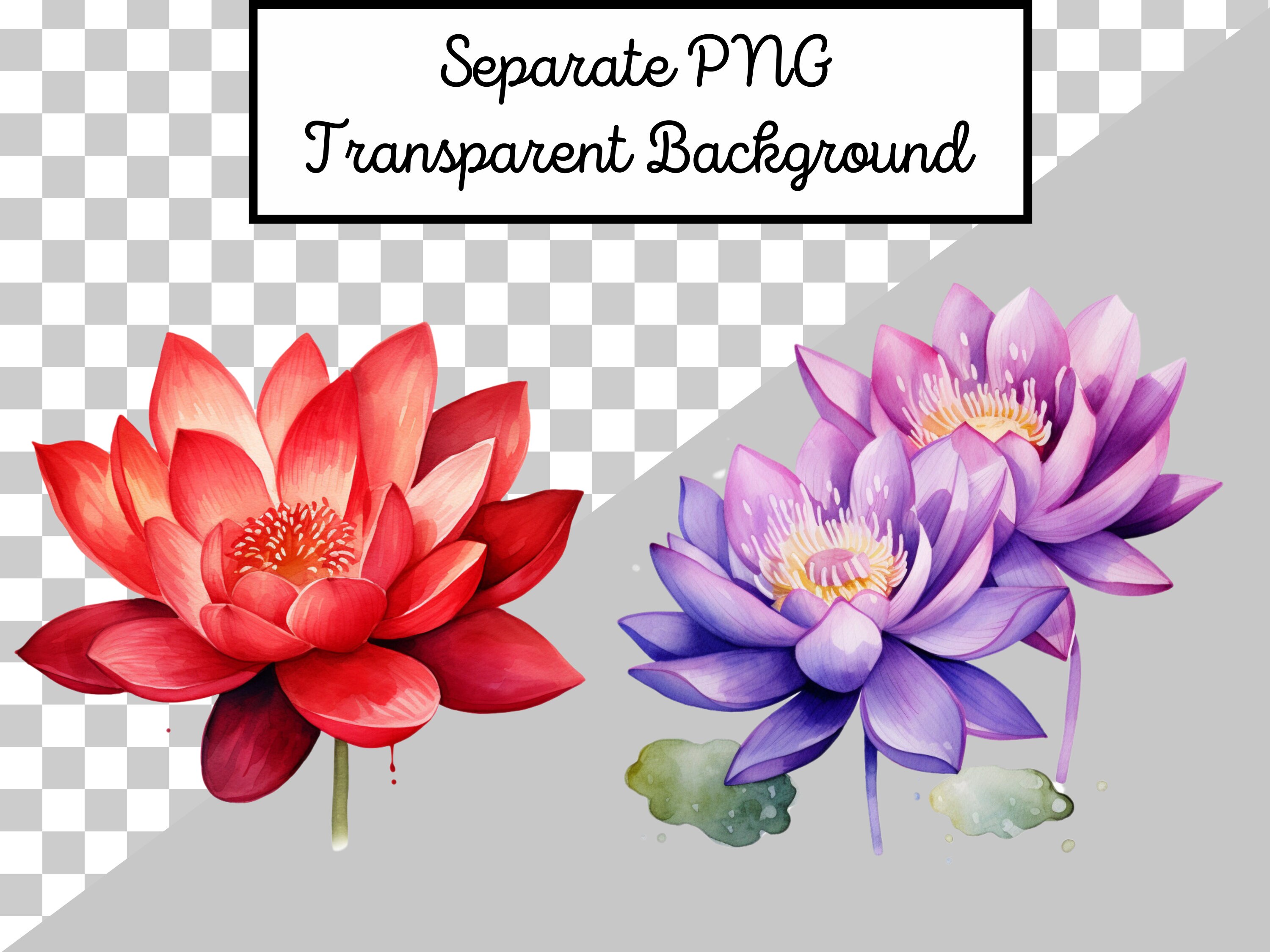 123 Lotus Flowers Watercolor Clipart Bundle - PNG Flower Images ...