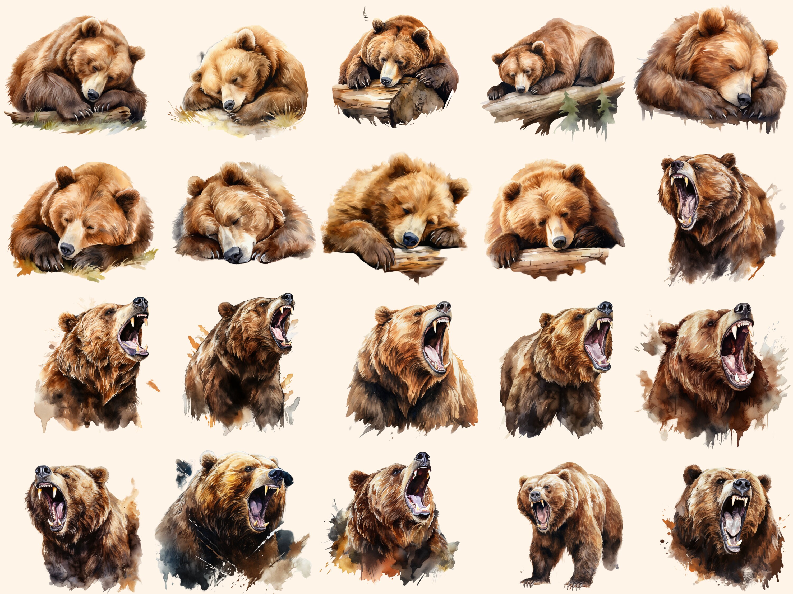 Brown Bears Watercolor Clipart Bundle 134 PNG Grizzly Images - Etsy