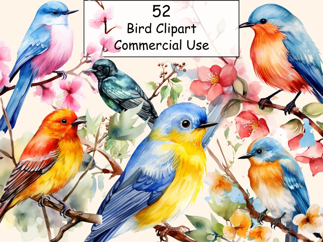 52 Watercolor Bird Clipart Bundle, Spring Birds Clipart, Birds Bundle ...