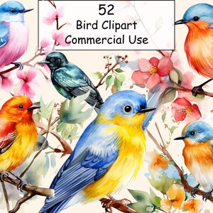 52 Watercolor Bird Clipart Bundle, Spring Birds Clipart, Birds Bundle ...