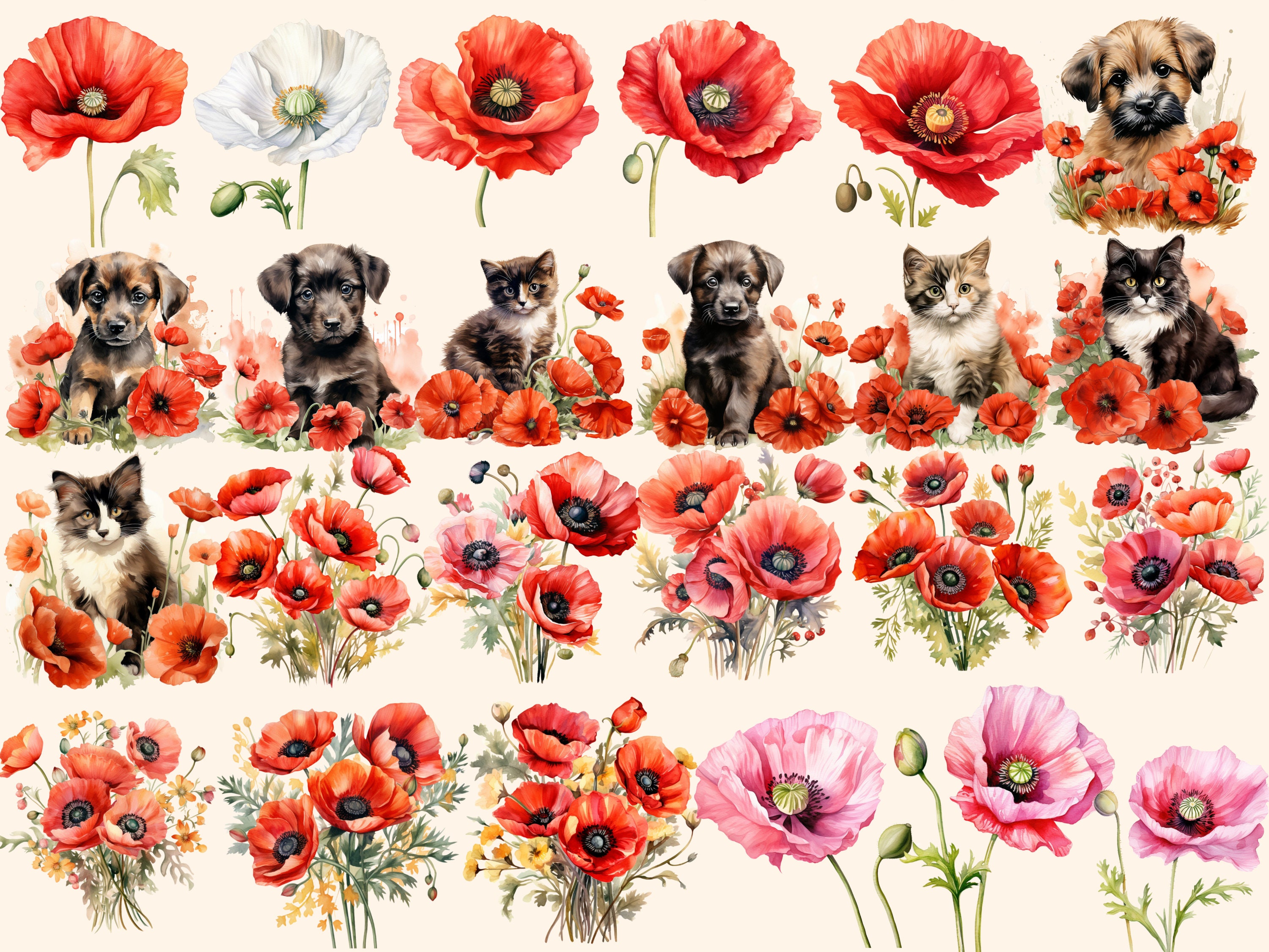 Poppies Watercolor Clipart Bundle - 100 PNG Poppy Flowers Images ...