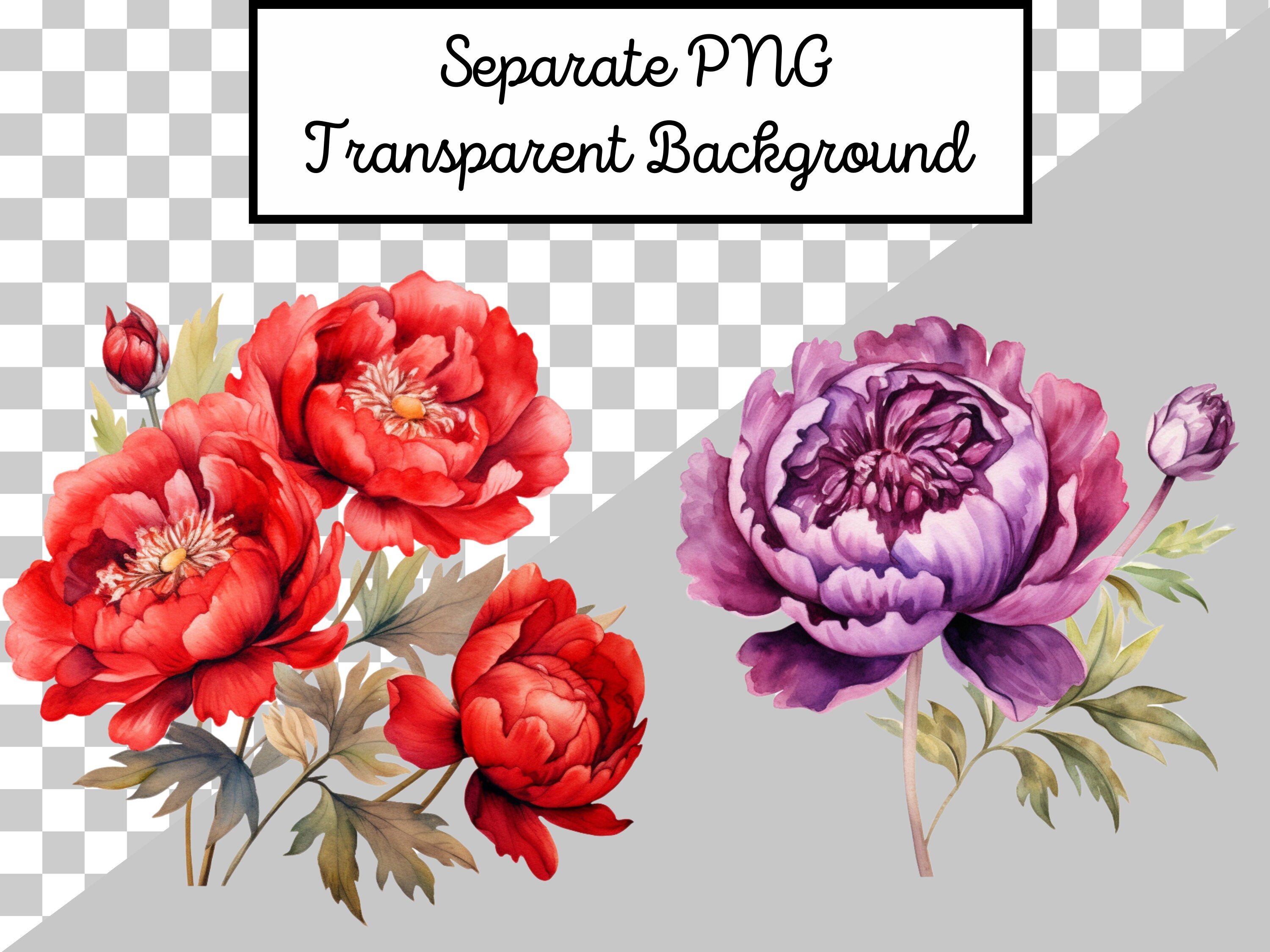 100 Peony Watercolor Clipart, Peonies Clipart, Floral Clipart, Spring ...
