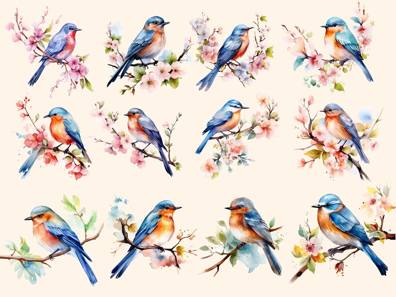 52 Watercolor Bird Clipart Bundle Spring Birds Clipart Birds - Etsy
