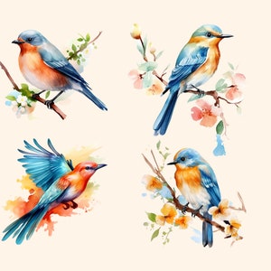 52 Watercolor Bird Clipart Bundle, Spring Birds Clipart, Birds Bundle ...