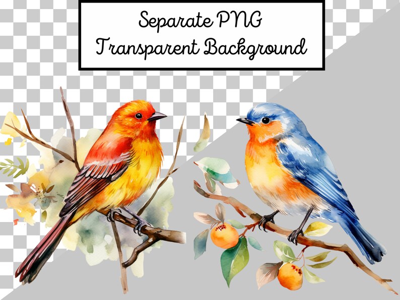 52 Watercolor Bird Clipart Bundle, Spring Birds Clipart, Birds Bundle ...