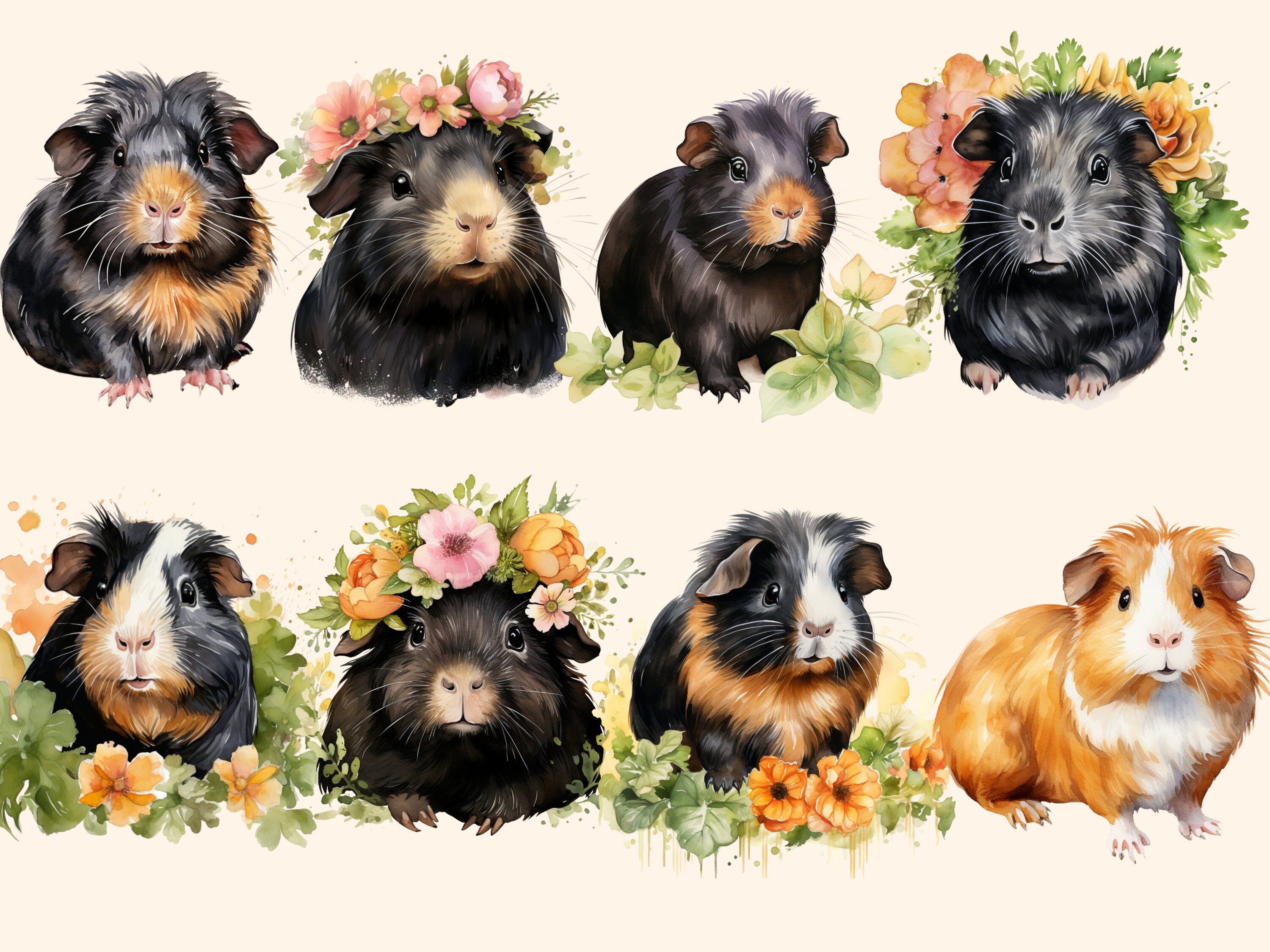 25 Watercolor Guinea Pigs Clipart PNG, Guinea Pigs Png, Flower Guinea ...