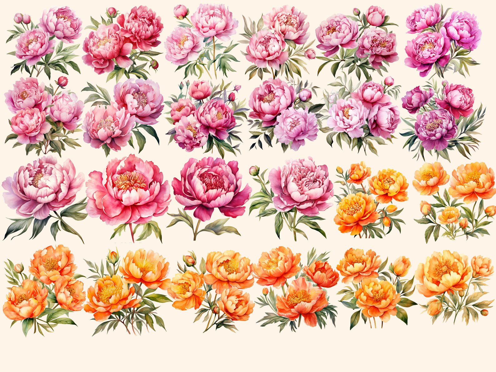 100 Peony Watercolor Clipart, Peonies Clipart, Floral Clipart, Spring ...