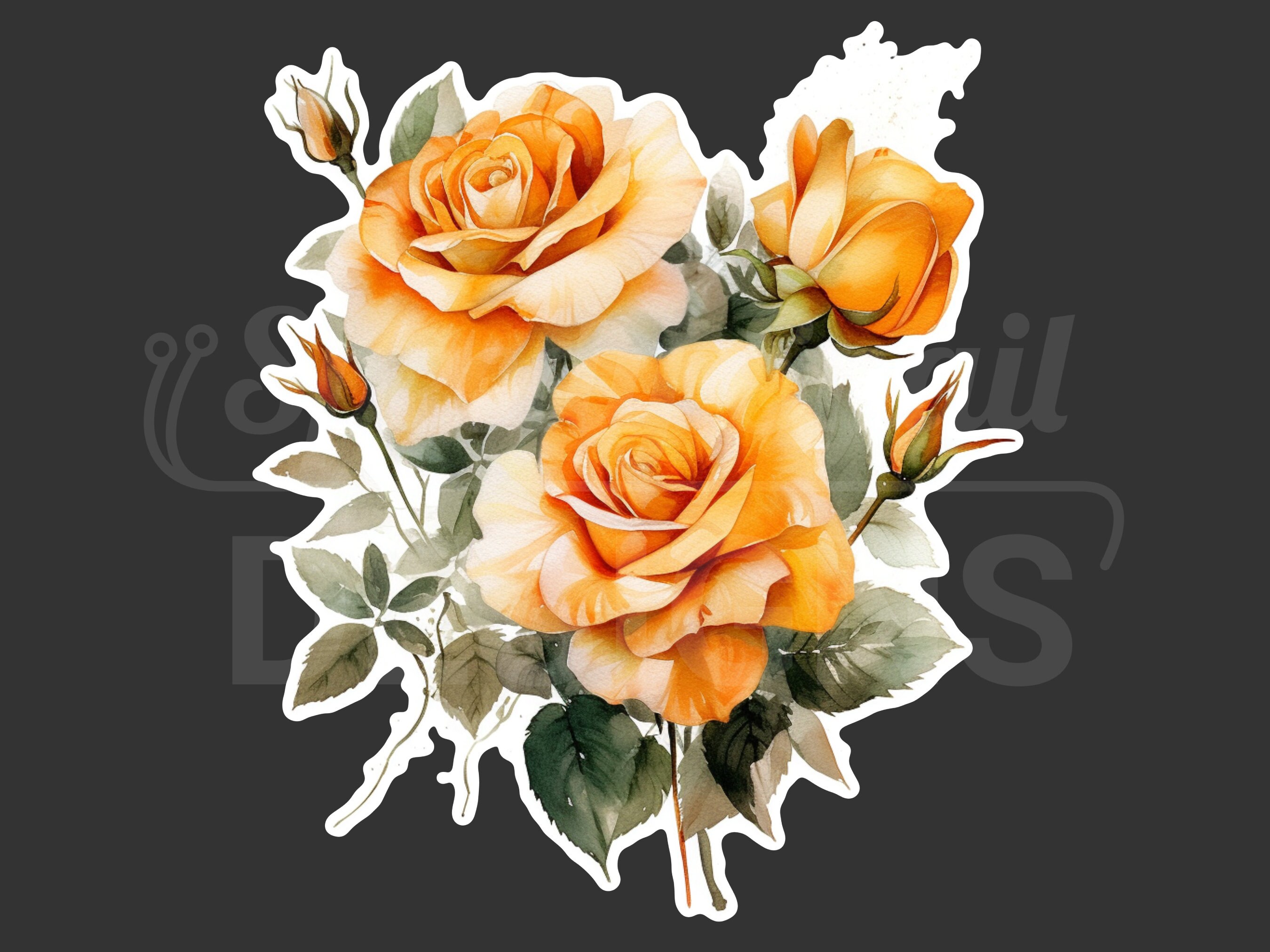 10 Orange Roses, Clipart, Watercolor, Transparent Background, PNG - Etsy