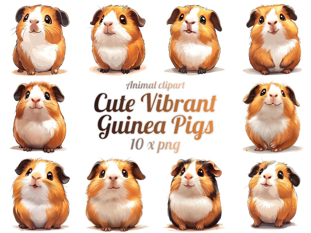 10 Cute Vibrant Guinea Pigs, Clipart, Transparent Background, PNG - Etsy