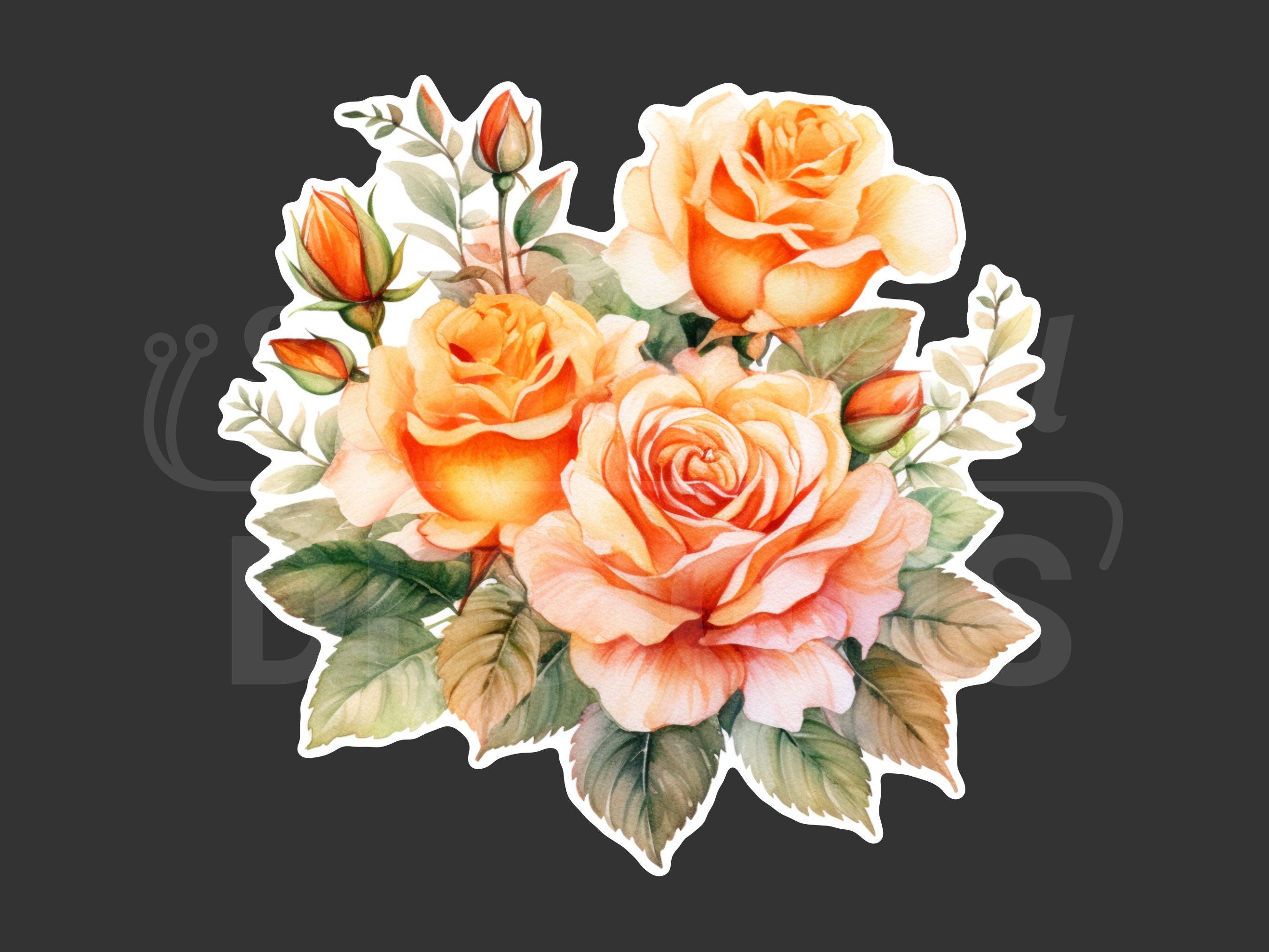 10 Orange Roses, Clipart, Watercolor, Transparent Background, PNG - Etsy