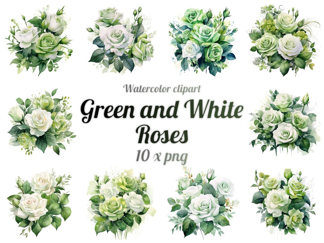 10 Green and White Roses, Clipart, Watercolor, Transparent Background ...