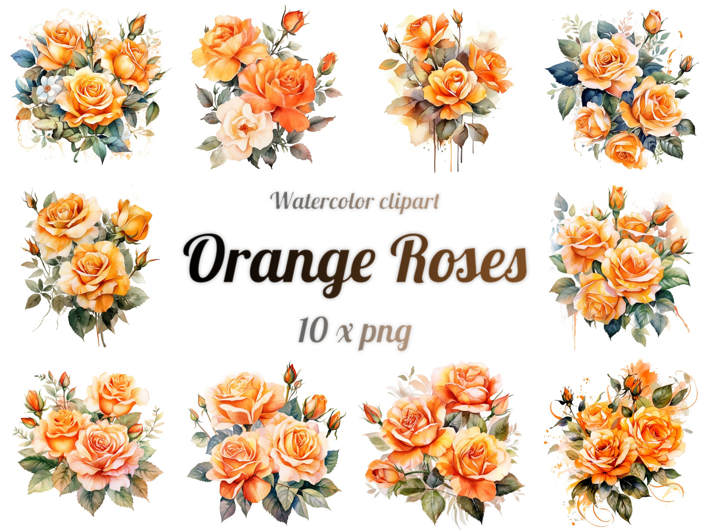 10 Orange Roses, Clipart, Watercolor, Transparent Background, PNG - Etsy